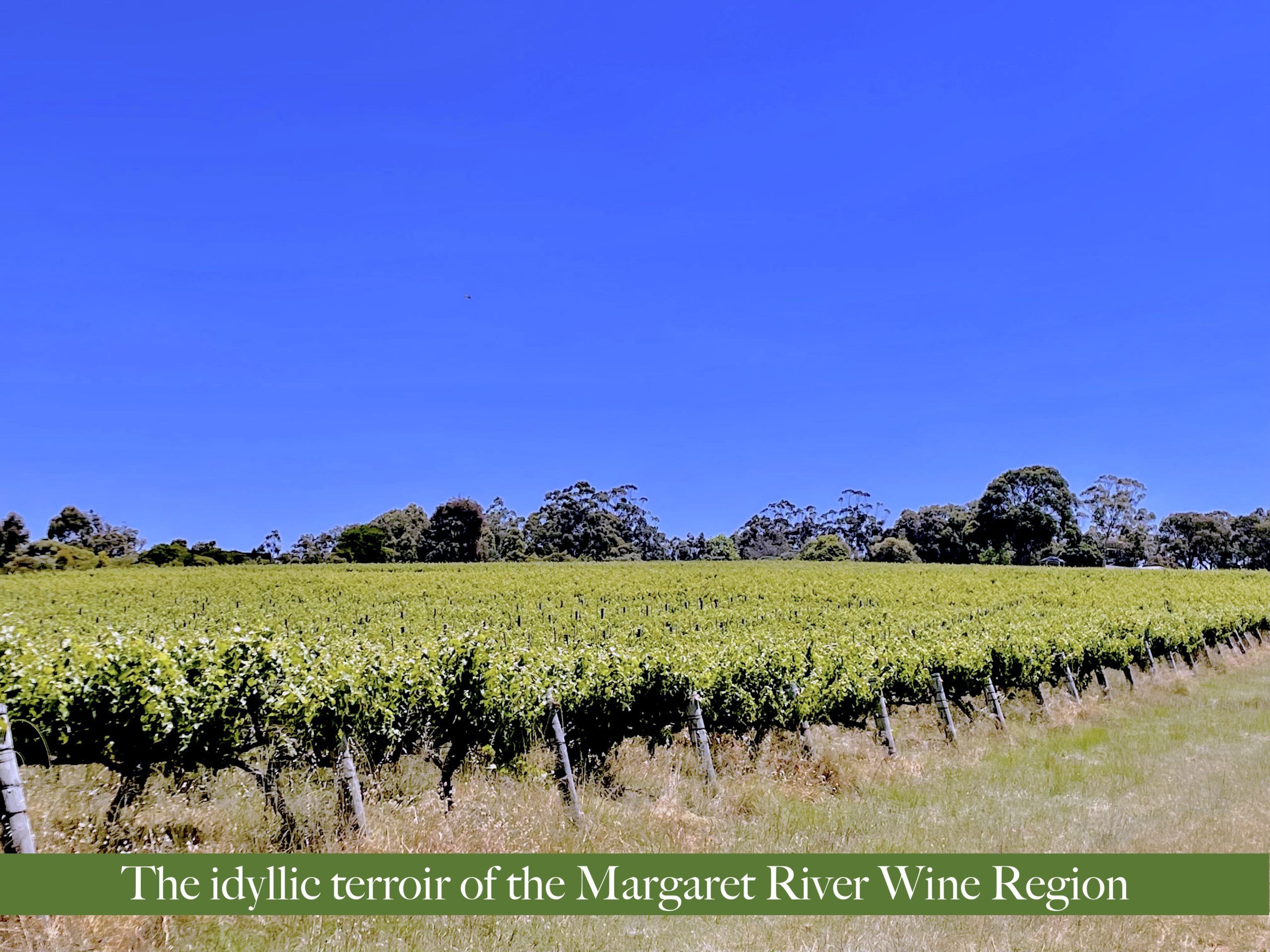 Terroir - the soil and toil of Margaret River Wines